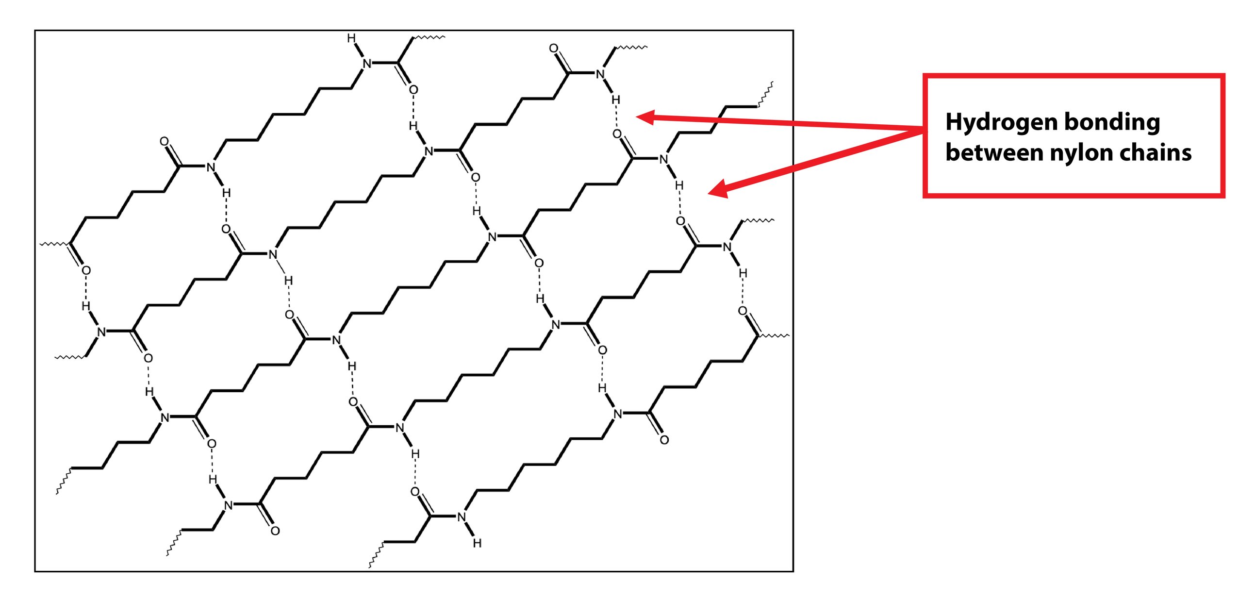 Managing Moisture: The Science Behind Moisture Absorption in Nylon